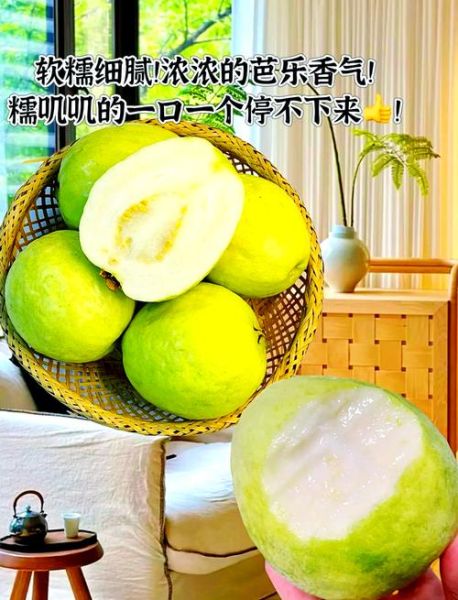 白心番石榴的功效与作用_白心番石榴怎么吃最好-第2张图片-山城妙识