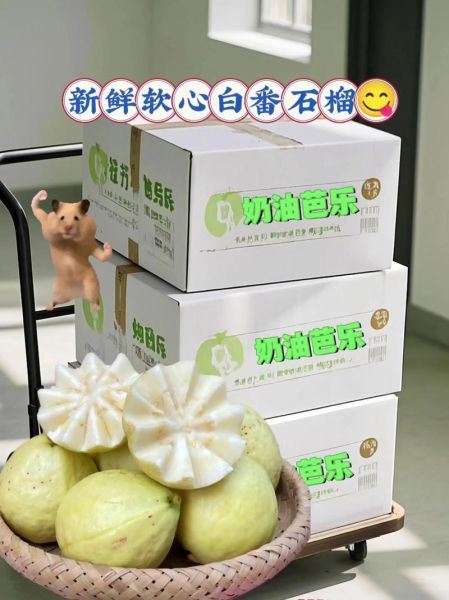 白心番石榴的功效与作用_白心番石榴怎么吃最好-第3张图片-山城妙识