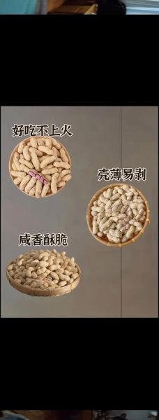 吃煮花生的好处和坏处有哪些_吃煮花生会上火吗-第2张图片-山城妙识