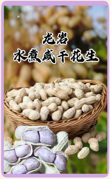 吃煮花生的好处和坏处有哪些_吃煮花生会上火吗-第3张图片-山城妙识