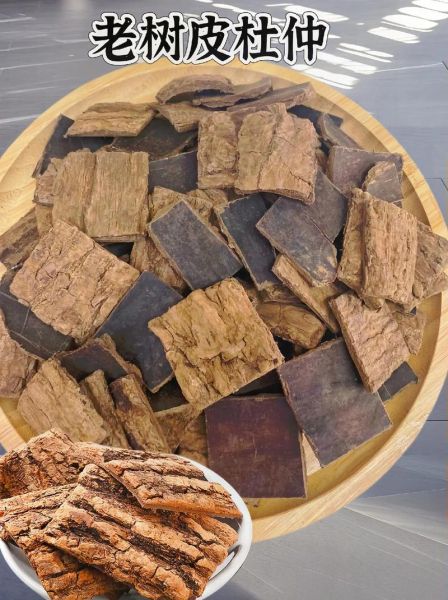 杜仲图片大全大图_杜仲长什么样-第1张图片-山城妙识