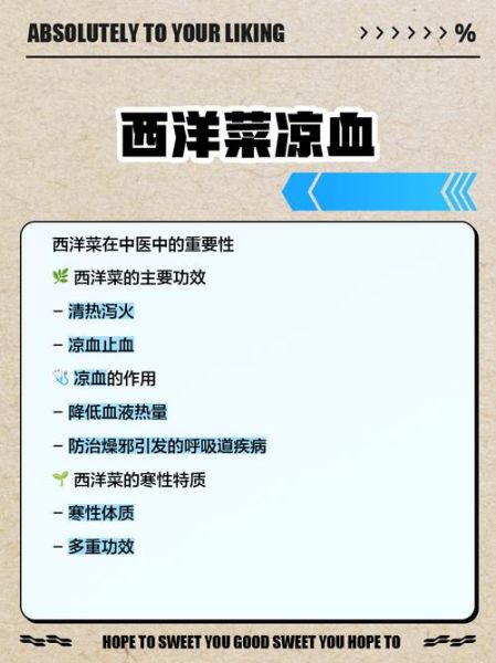 西洋菜又叫什么_西洋菜别名有哪些-第3张图片-山城妙识