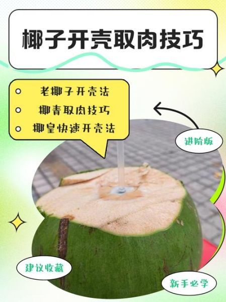 椰子怎么开壳取肉_椰子肉怎么取不粘壳-第1张图片-山城妙识