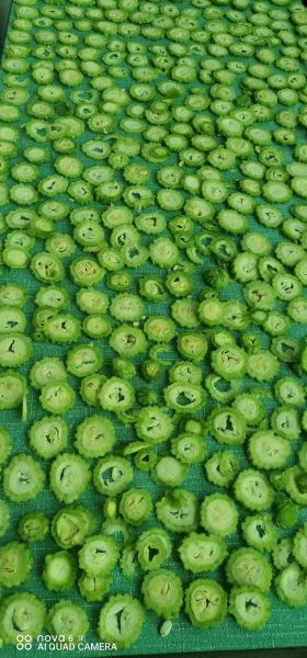 苦瓜茶怎么制作_苦瓜茶的做法步骤-第1张图片-山城妙识