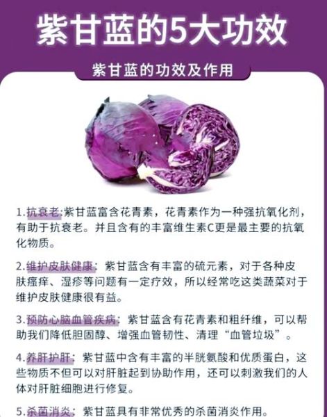 紫甘蓝蔬菜沙拉怎么做_紫甘蓝沙拉热量高吗-第2张图片-山城妙识