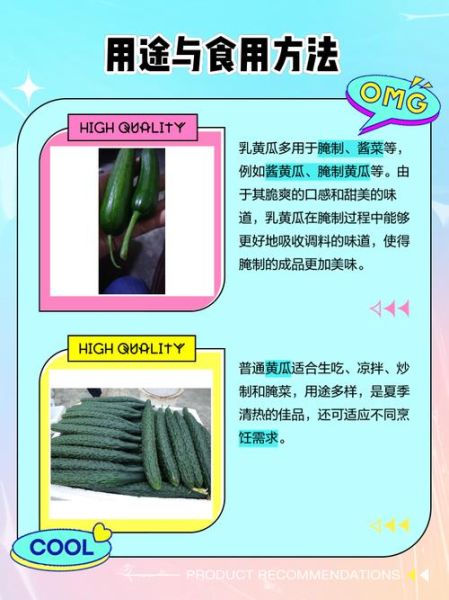 乳瓜图片_乳瓜和黄瓜区别-第1张图片-山城妙识