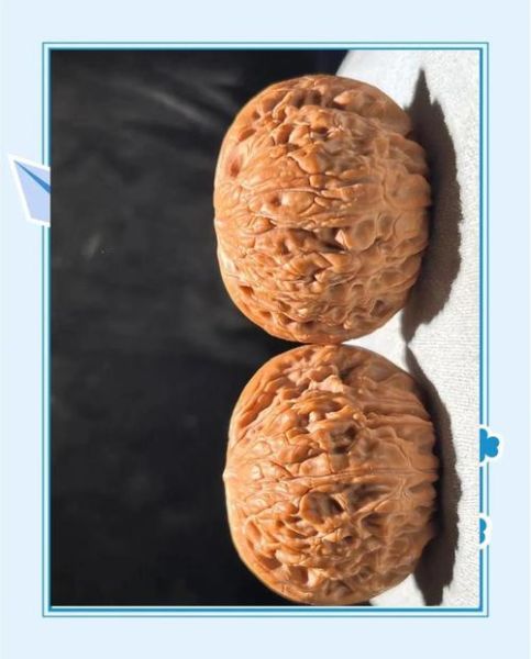 老款狮子头核桃怎么鉴别_老款狮子头核桃价格多少-第2张图片-山城妙识