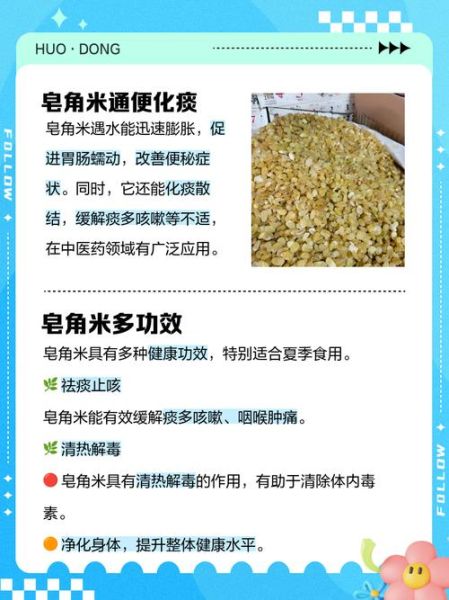 皂角米有什么功效与作用_皂角米禁忌人群有哪些-第1张图片-山城妙识