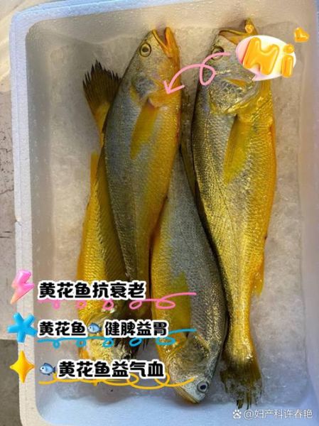 花鱼图片大全_花鱼是什么鱼-第1张图片-山城妙识