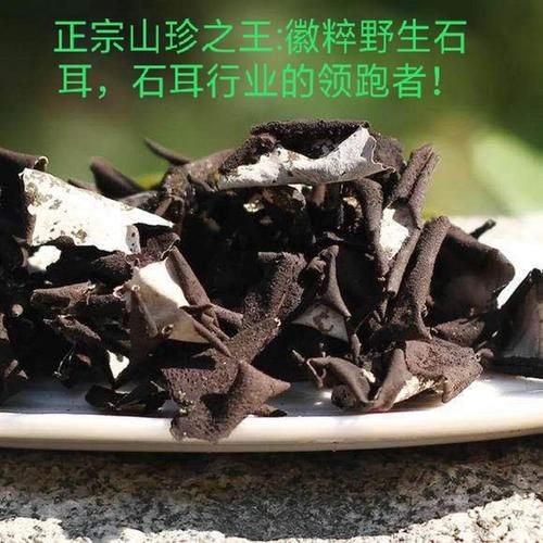 石耳图片怎么鉴别真假_石耳长什么样-第2张图片-山城妙识
