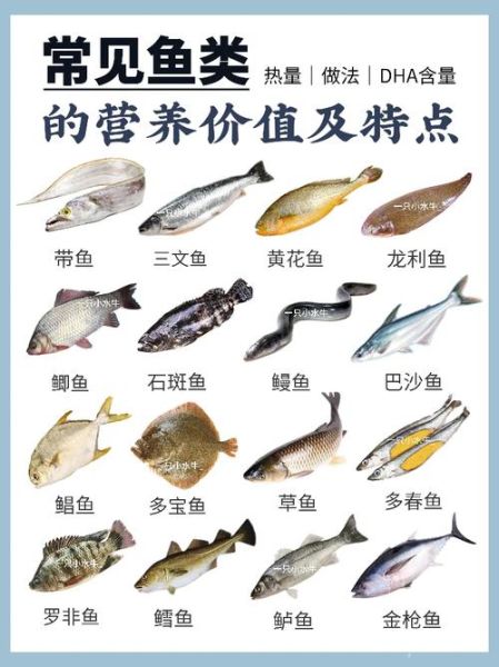 柴鱼是什么鱼_柴鱼和金枪鱼的区别-第3张图片-山城妙识