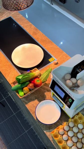 煎蛋机器人怎么使用_煎蛋机器人价格多少-第2张图片-山城妙识