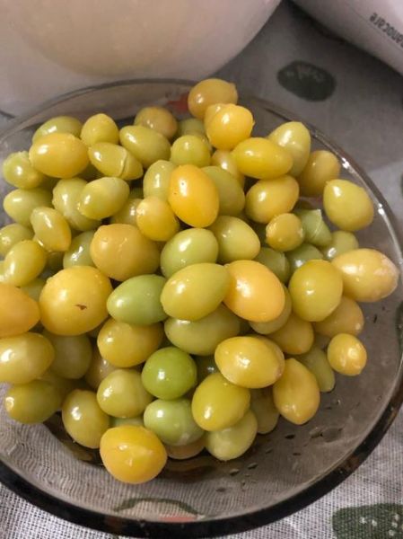 银杏果能吃吗_银杏果啥时候熟-第3张图片-山城妙识