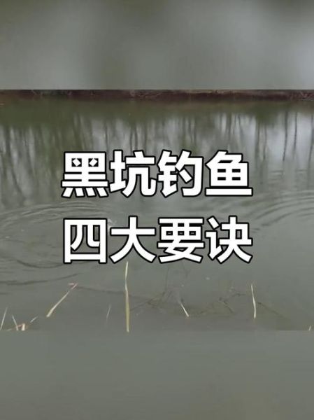 野钓鲤鱼用什么饵料_野钓鲤鱼怎么选钓位-第3张图片-山城妙识