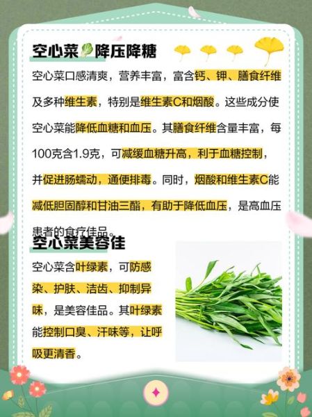 空心菜的功效与禁忌_什么人不能吃-第1张图片-山城妙识