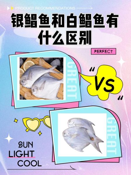 冒充鲳鱼的是什么鱼_如何辨别真假鲳鱼-第1张图片-山城妙识