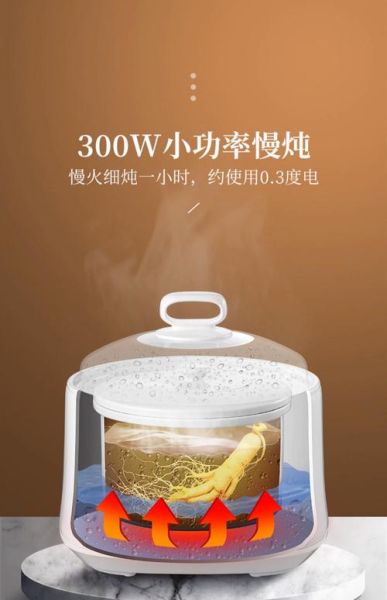 隔水炖盅怎么用_隔水炖盅和电炖锅区别-第3张图片-山城妙识
