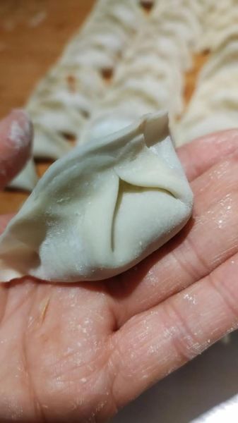 水饺怎么煮不破皮_煮水饺要加几次冷水-第1张图片-山城妙识