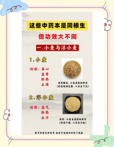 浮小麦和小麦的区别_浮小麦是小麦吗-第1张图片-山城妙识