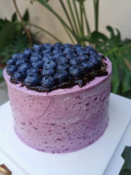 蓝莓蛋糕图片大全_蓝莓蛋糕怎么做-第2张图片-山城妙识