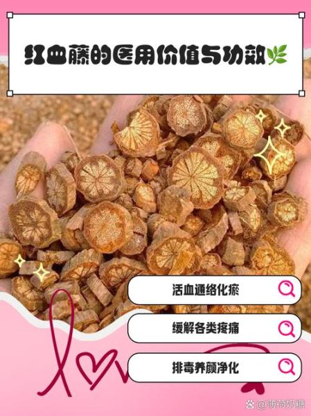 红藤的功效与作用_红藤的正确吃法-第3张图片-山城妙识