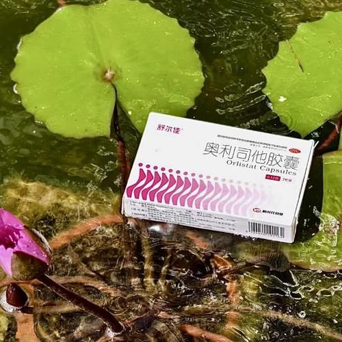 奥利司他吃多久有效果_多久能瘦-第1张图片-山城妙识