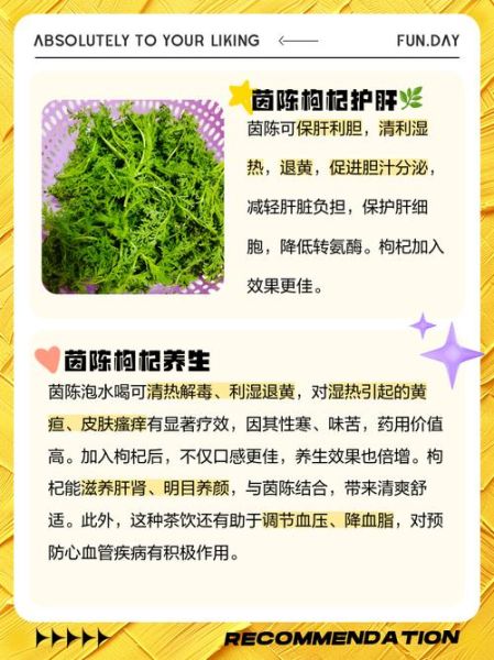 茵陈的功效与作用_茵陈怎么泡水喝-第1张图片-山城妙识