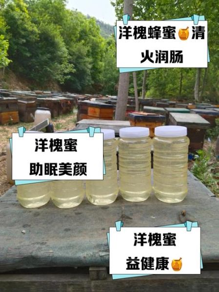 洋槐蜂蜜的功效与作用_洋槐蜂蜜适合什么人吃-第1张图片-山城妙识