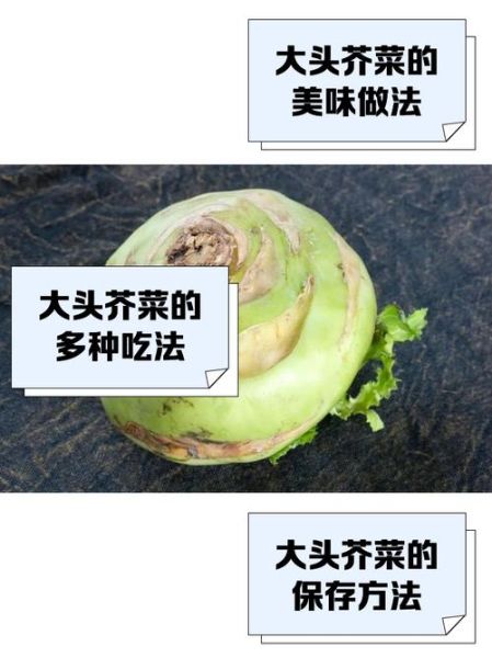 正宗大头菜长什么样_如何辨别正宗大头菜-第1张图片-山城妙识