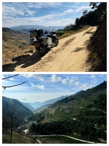 松露猪怎么训练_松露猪价格多少钱一只-第1张图片-山城妙识