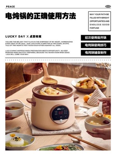 煲汤锅第一次用怎么开锅_电炖锅开锅步骤-第3张图片-山城妙识