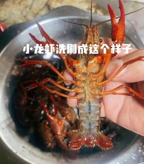 麻辣小龙虾怎么做_家庭版做法视频教学-第3张图片-山城妙识