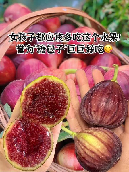 鲜无花果怎么吃_鲜无花果一天吃几个-第1张图片-山城妙识