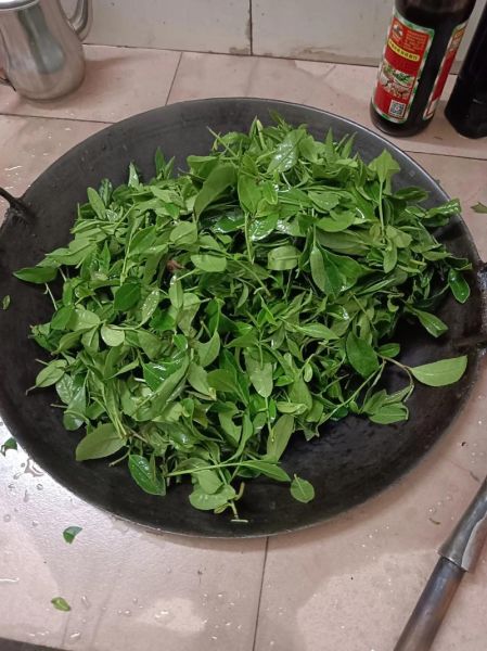 恭城油茶功效与作用_恭城油茶怎么喝才养生-第3张图片-山城妙识 恭城油茶功效与作用_恭城油茶怎么喝才养生-第3张图片-山城妙识