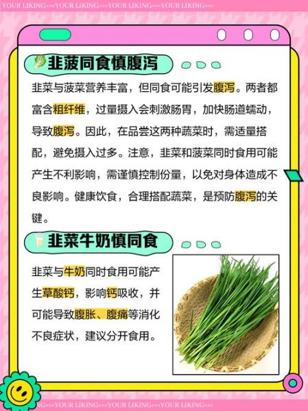 韭菜和什么不能一起吃_韭菜相克食物有哪些-第1张图片-山城妙识