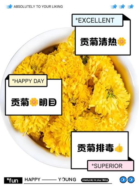 贡菊图片_贡菊的功效与作用-第3张图片-山城妙识