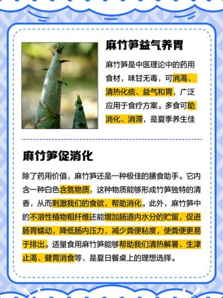 竹笋的功效与作用_竹笋吃了有什么好处-第2张图片-山城妙识