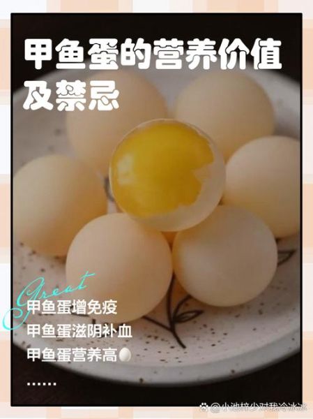 甲鱼蛋怎么吃_甲鱼蛋的营养价值与做法-第1张图片-山城妙识