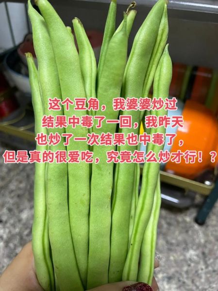 豇豆有毒吗_豇豆生吃会不会中毒-第1张图片-山城妙识