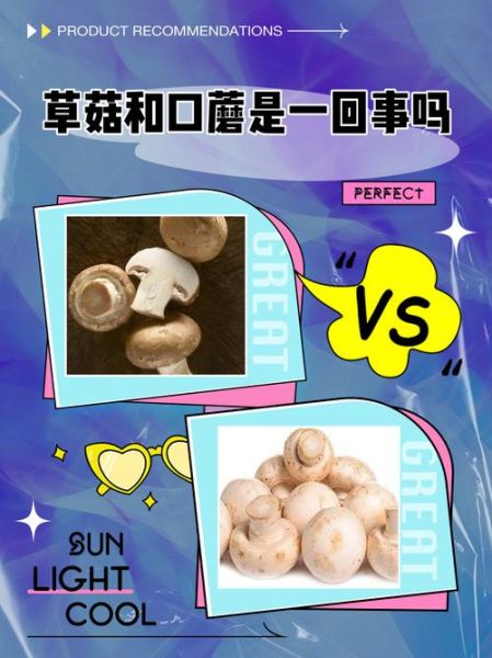 草菇不能和什么一起吃_草菇与什么食物相克-第1张图片-山城妙识
