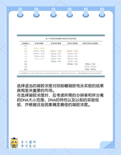 琼脂糖凝胶电泳上样量多少合适_如何计算-第3张图片-山城妙识