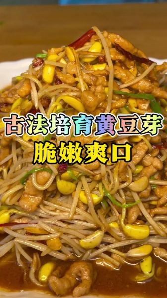 在家发黄豆芽小窍门_黄豆芽怎么发最快-第1张图片-山城妙识