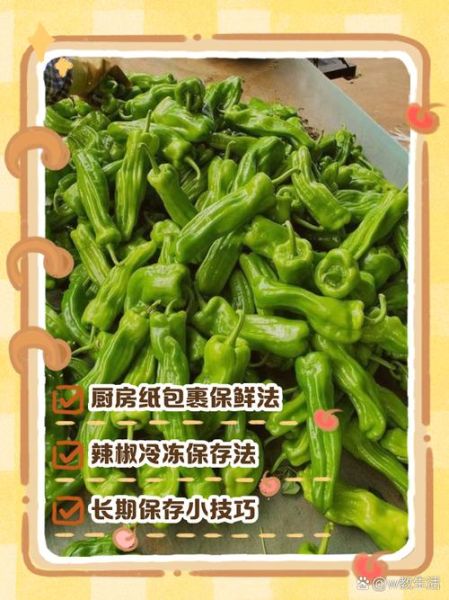 菜椒怎么保存时间长_菜椒可以放冰箱吗-第1张图片-山城妙识