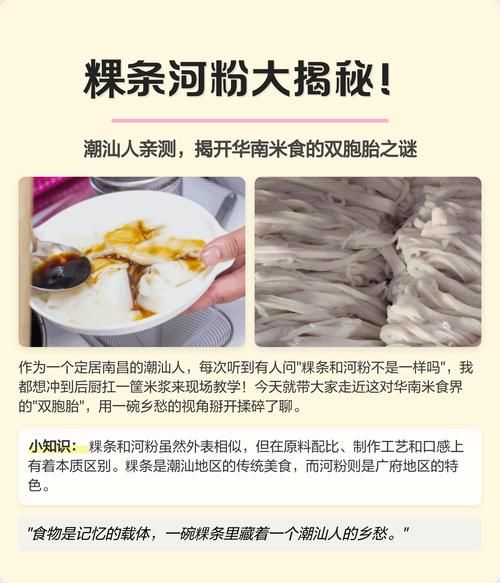 河粉的功效与作用_河粉适合什么人吃-第2张图片-山城妙识