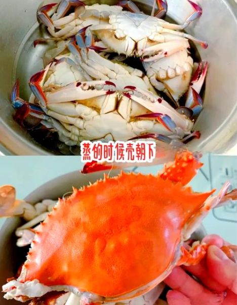 梭子蟹怎么处理干净_梭子蟹清洗步骤-第1张图片-山城妙识