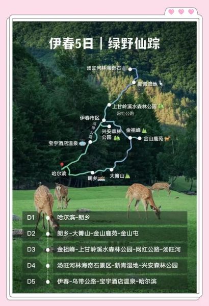 伊春自驾游路线怎么走_伊春旅游攻略自驾游最佳时间-第3张图片-山城妙识