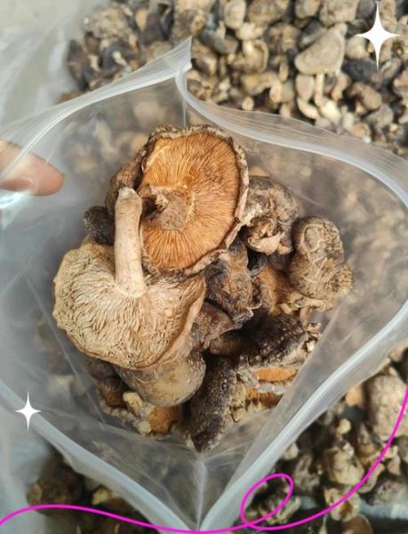 干货有哪些_干货怎么保存-第2张图片-山城妙识