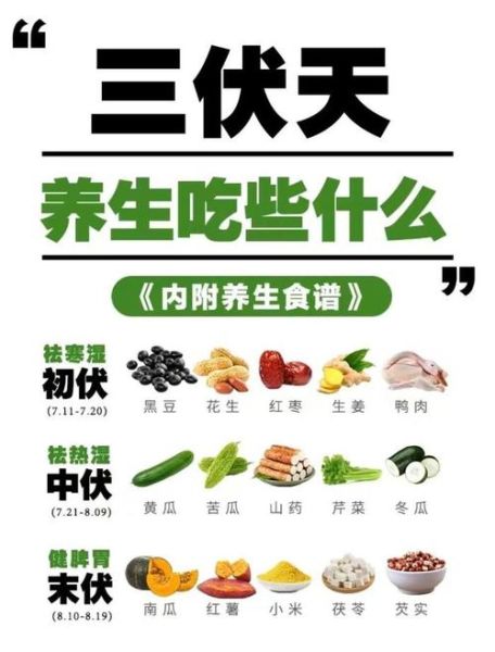 三伏天怎么调理身体_三伏天吃什么好-第1张图片-山城妙识