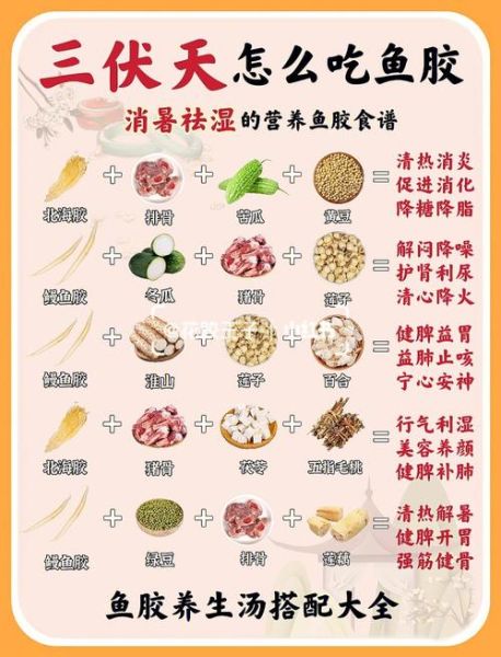 三伏天怎么调理身体_三伏天吃什么好-第2张图片-山城妙识