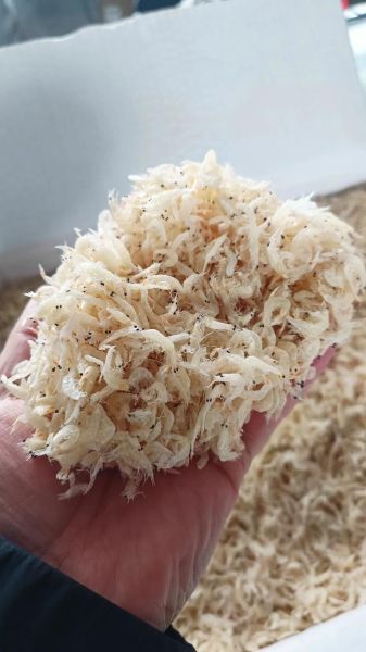 虾皮多少钱一斤_虾皮价格受哪些因素影响-第1张图片-山城妙识